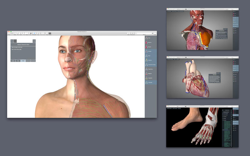 57 Top Photos Complete Anatomy App For Mac The Best Free Anatomy Apps 57 Top Photos Complete Anatomy App For Mac The Best Free Anatomy Apps